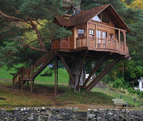 | Tree Houses | House on Trees | Sweet Tree Houses | Beautiful Tree ...