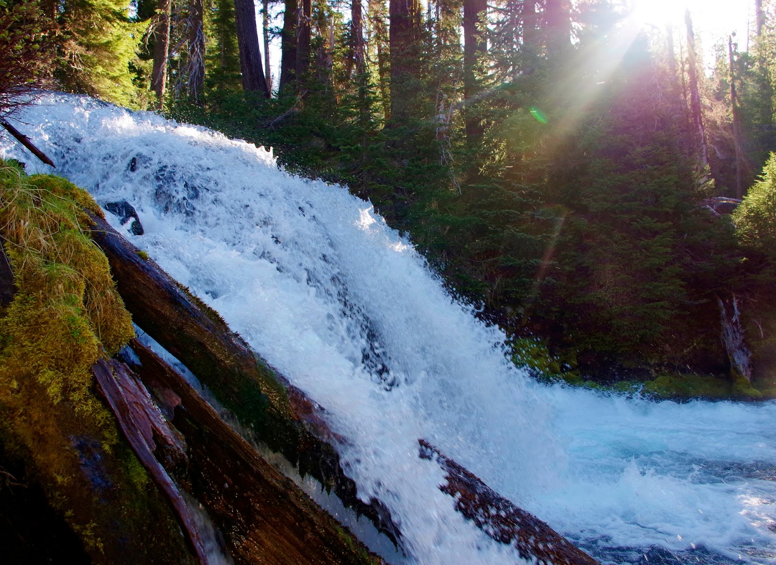 Pacific Northwest Seasons: Waterfall Hikes in the Pacific Northwest