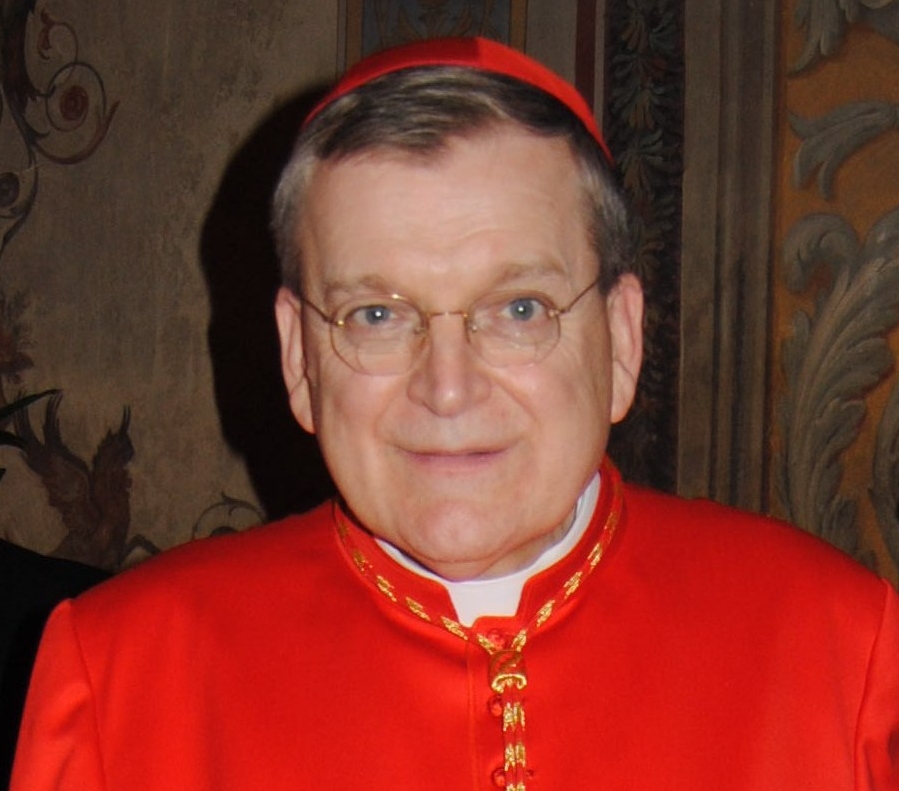 Cardinal burke - lopersattorney