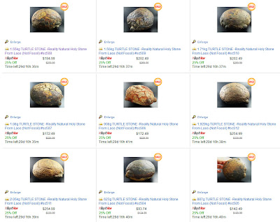 9 BIG RARE TURTLE STONE FROM LAOS ~ Rare Stone & Good Amulet