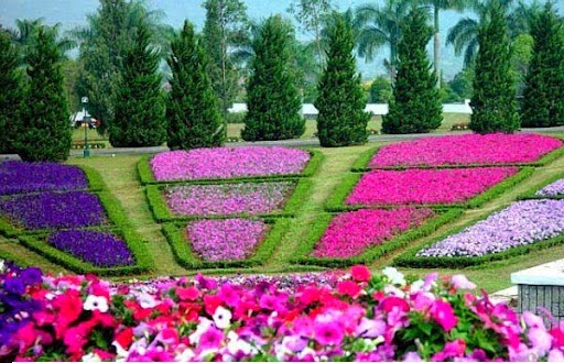 Keindahan taman bunga nusantara cibodas - Dungni