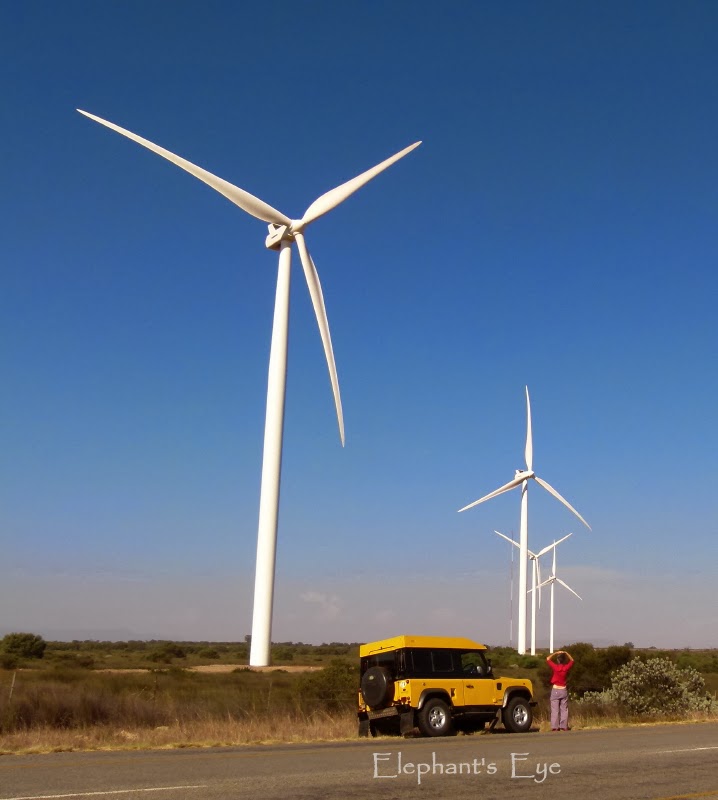 Elephant's Eye: 2014