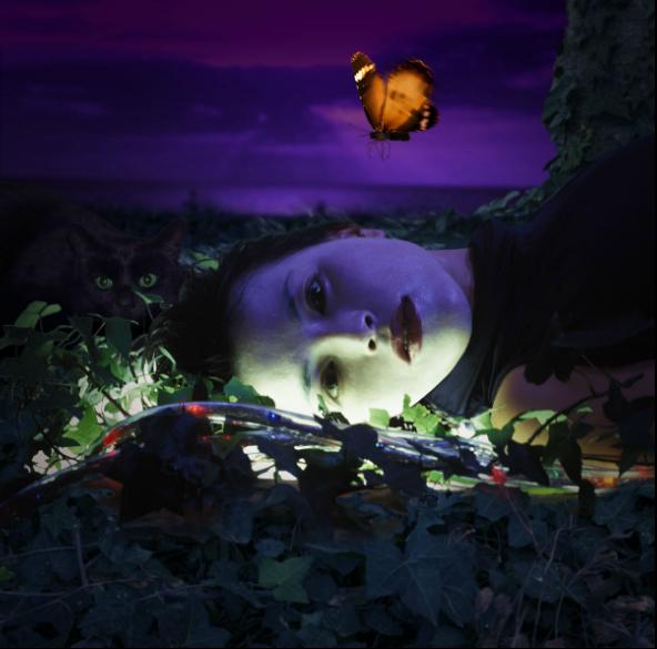 A-PARTE: Fotografia: Simon Strong