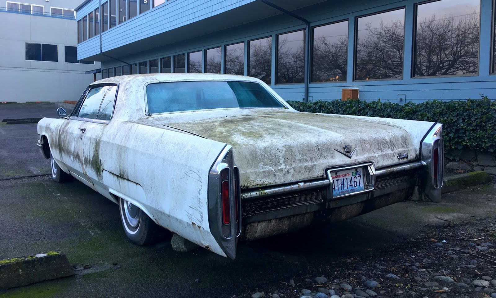Seattle's Classics: 1966 Cadillac Calais
