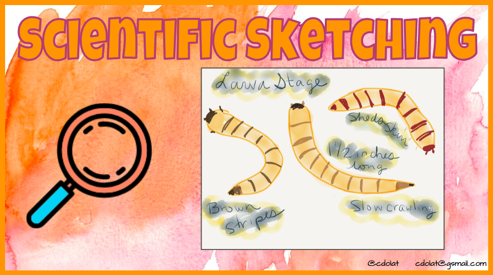 Fabulous 5th Grade Fun