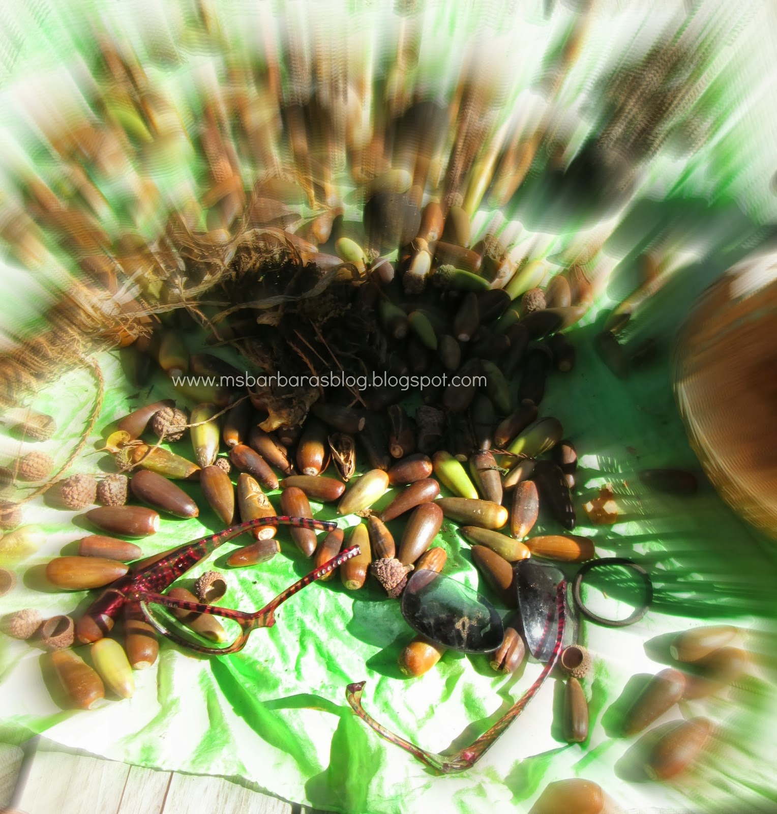 For the Children: Fall Explorations with Natural Materials