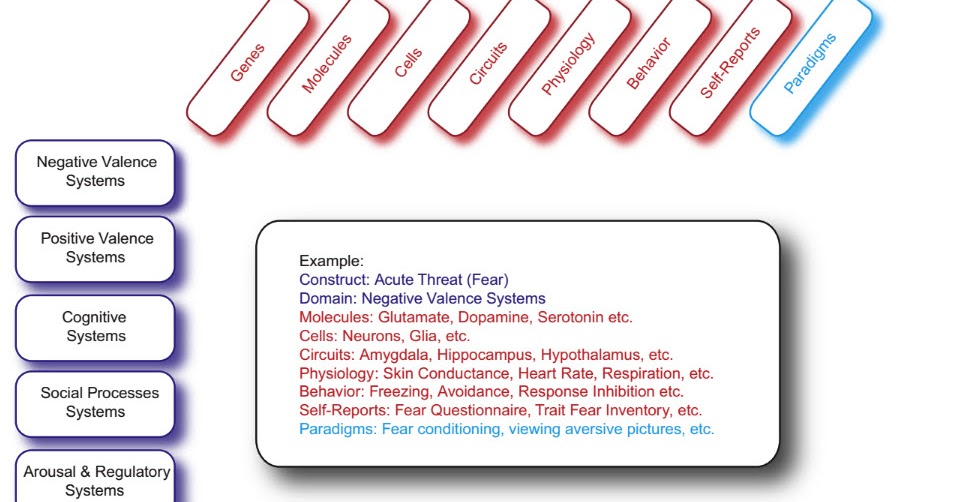 Using RDoC: a practical example