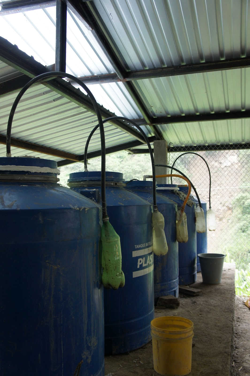 Pensamientos: Fermenting Cow Poo: Lessons in Homebrew Biol, an Organic ...