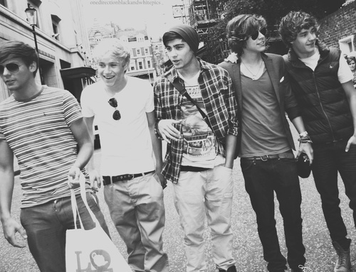 1D Spain Fans: Galería