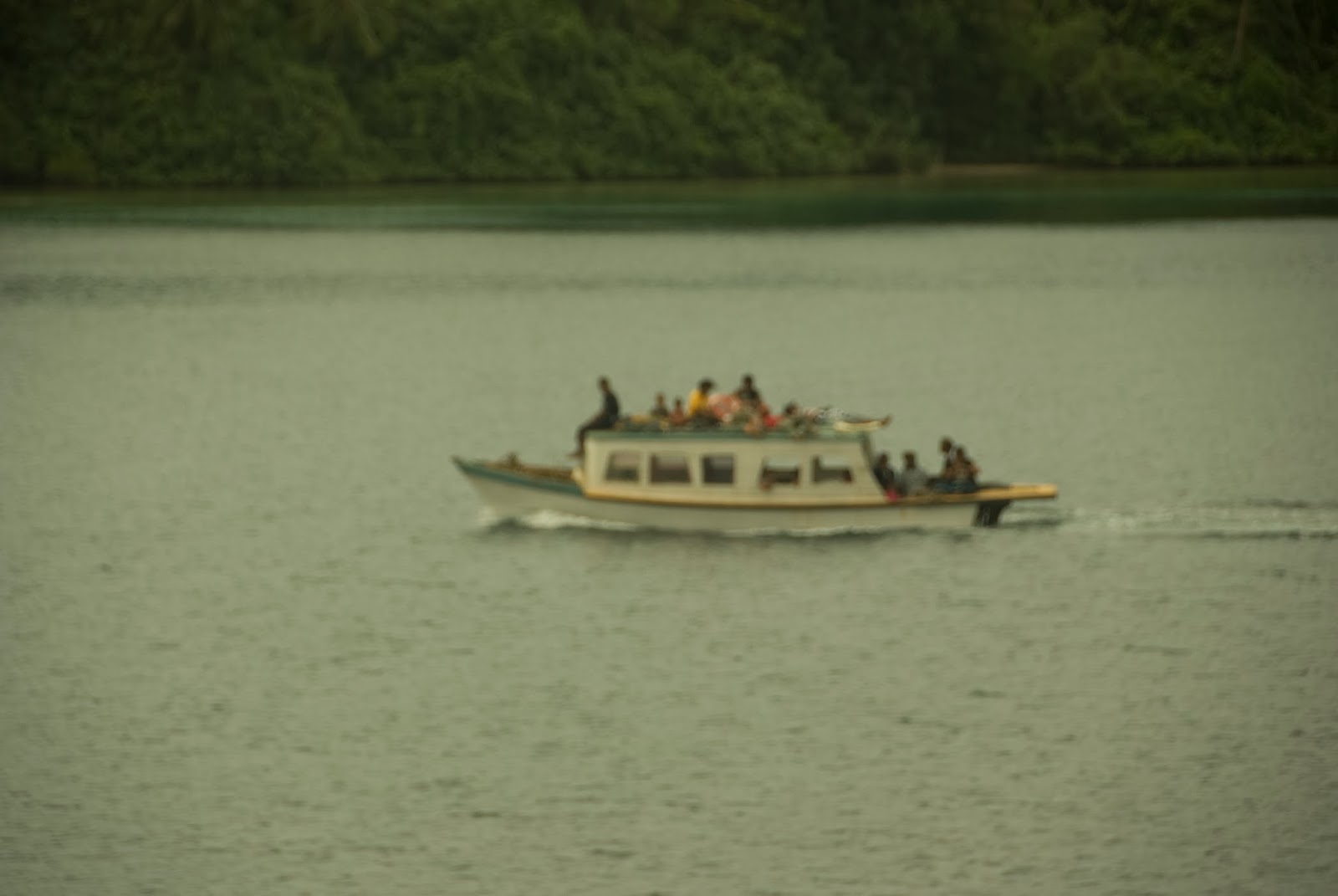 Garth and Sandy Rule the World: How We Spent Our Christmas - or High ...