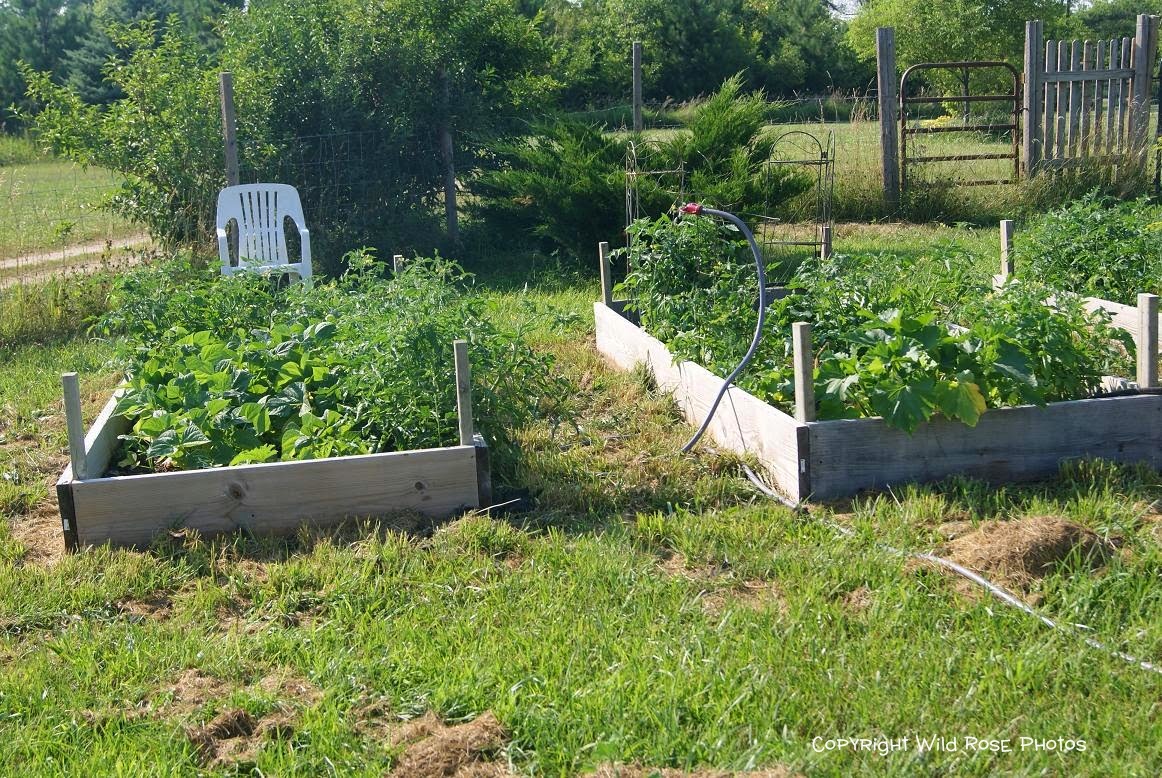 Gardening : Gardening season begins!