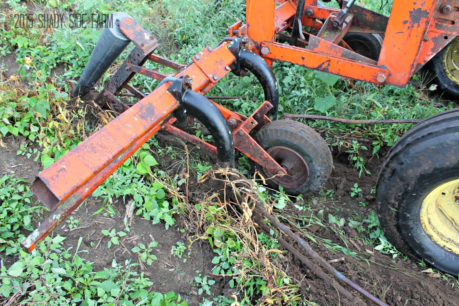 A New Way to Pull Beans