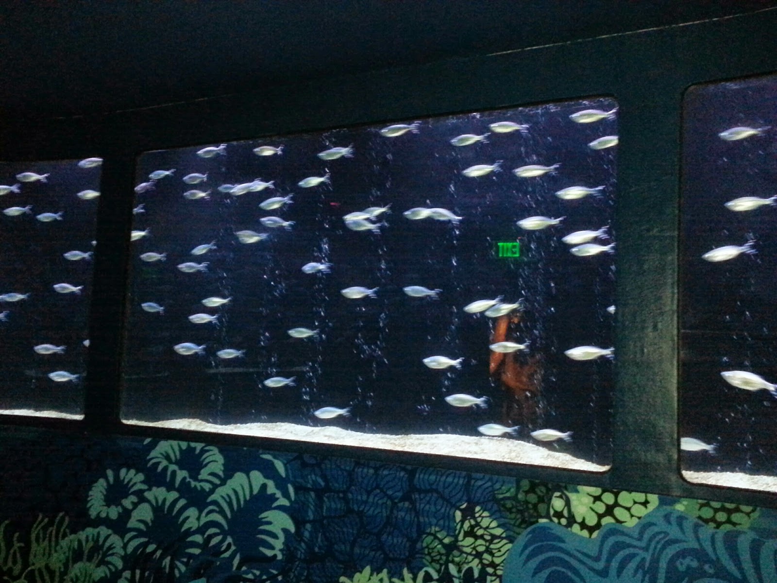 Meet the Octonauts at Sea Life Aquarium- Charlotte/Concord in September ...