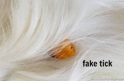 The Chronicles of Cardigan: How to Inject Humor Into Removing an ...