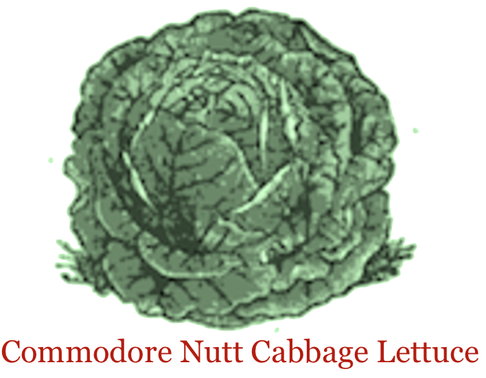 The Promise of Seeds: Magic in a Packet: 1883 - Commodore Nutt: The ...