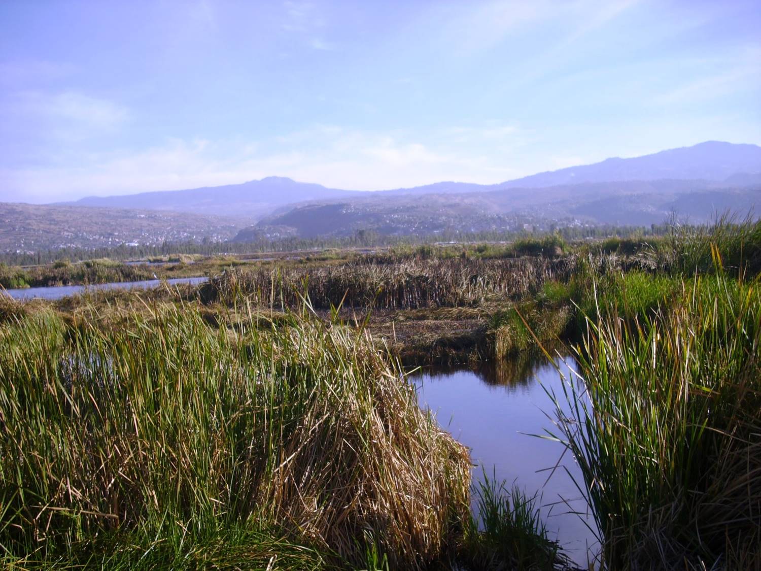 El cuexcomate: La chinampa, legado de la zona lacustre de la cuenca de ...