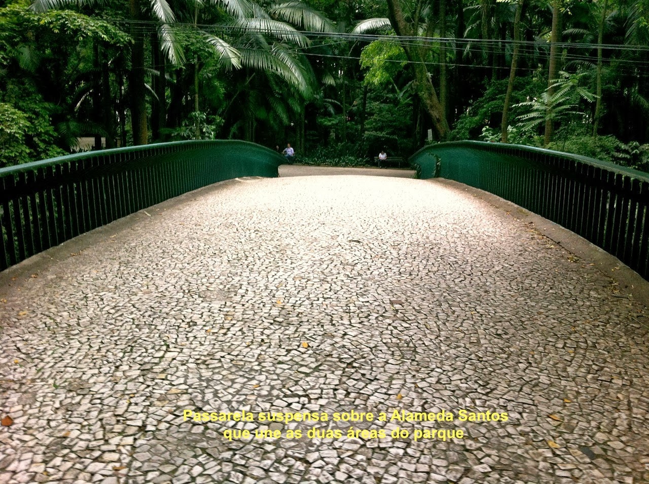 Parque Trianon ou Tenente Siqueira Campos em São Paulo ~ Áreas Verdes ...