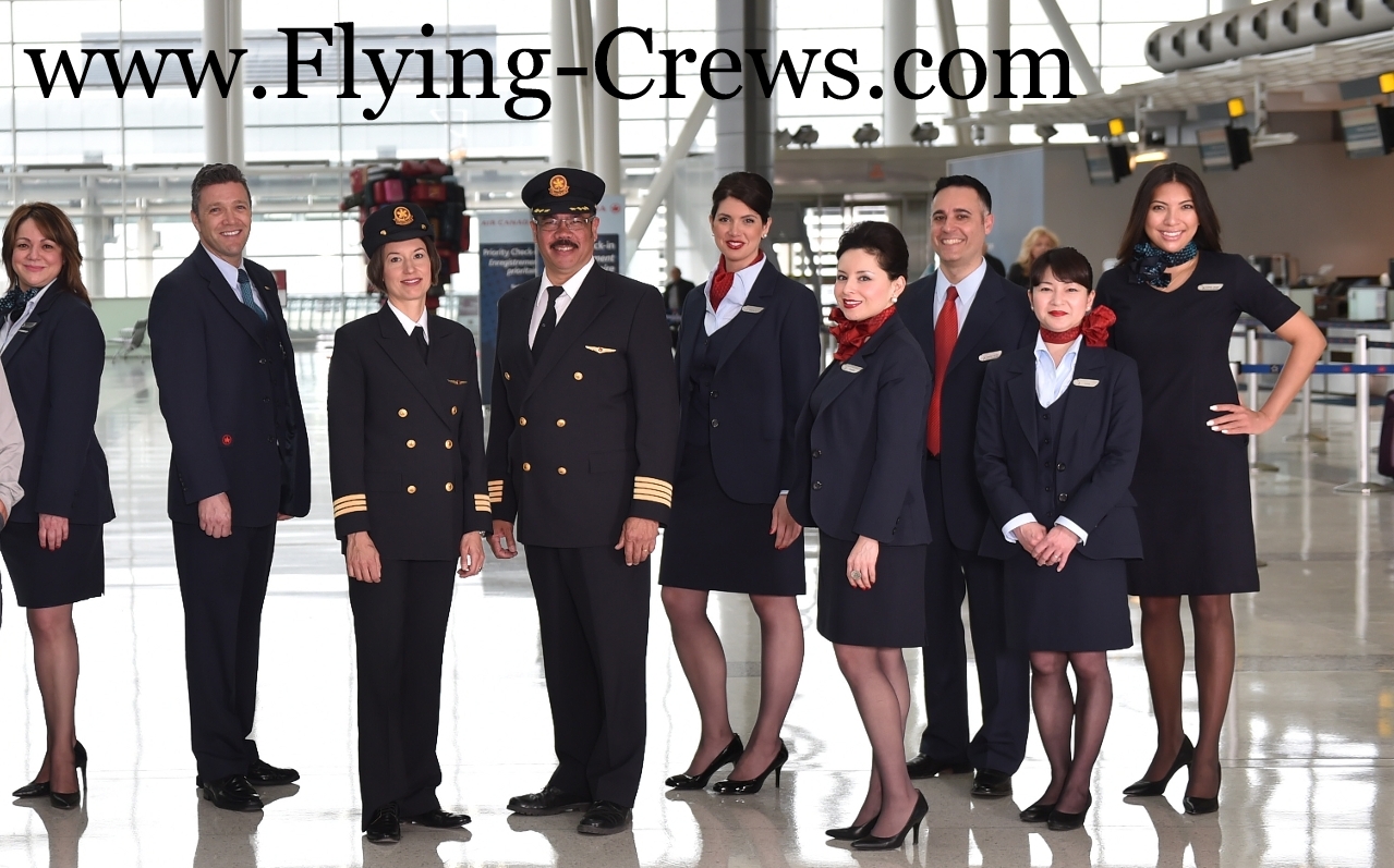 Fly High and Make Your Dreams come true, with Cabin Crew Career Guide.