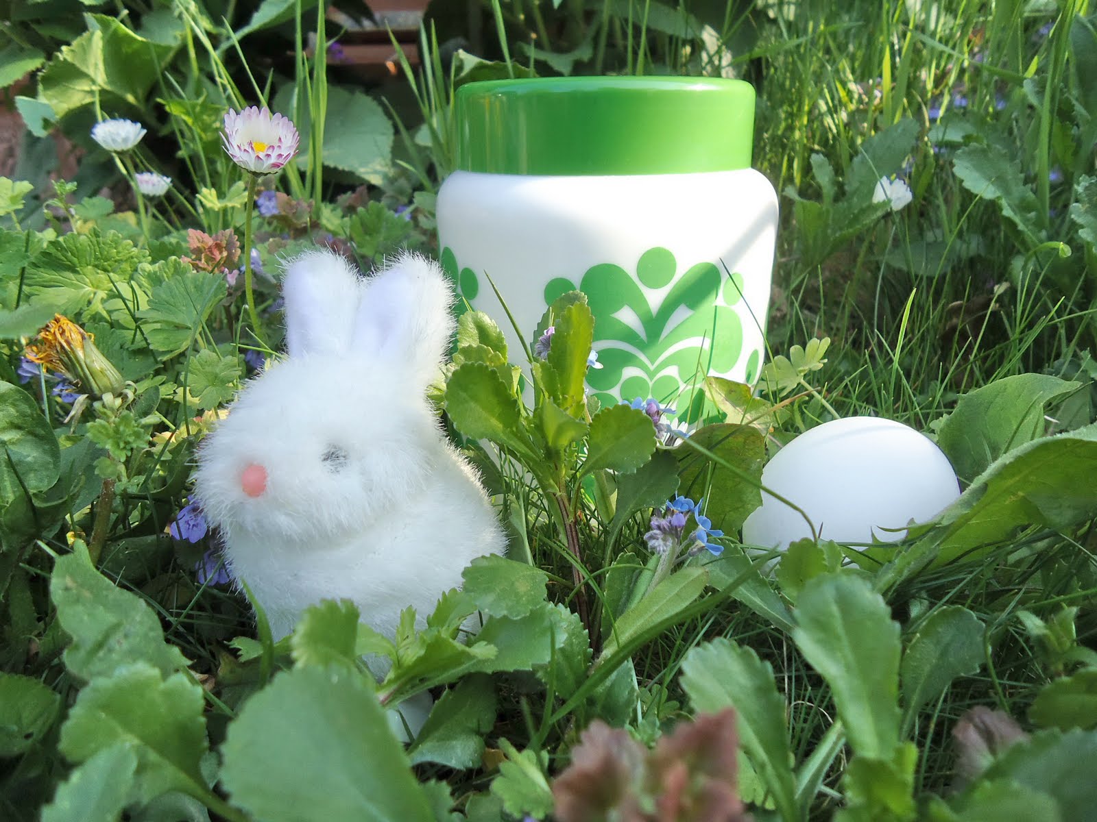 mano's welt: von hasis, grünen dosen und kirschblüten