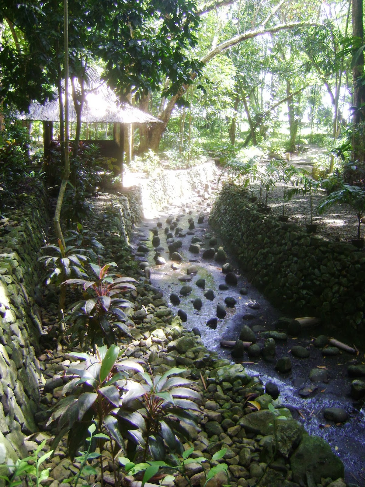 Teni Nyca A: Dapitan City