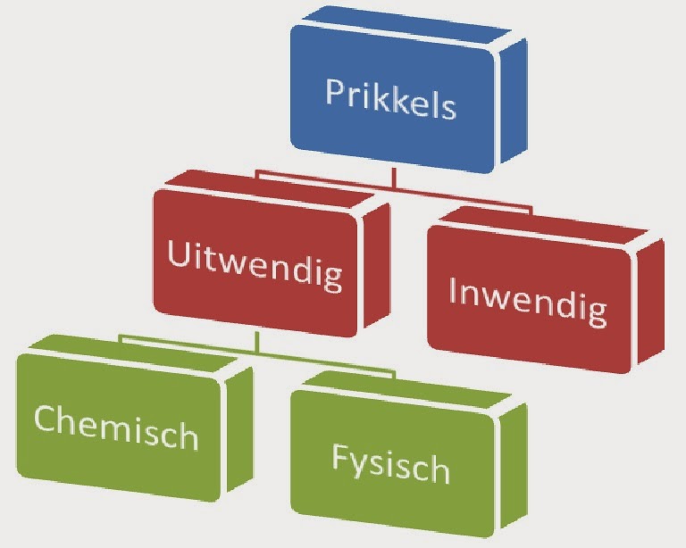 Zintuigen: Wat is een prikkel?