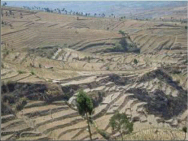 MANUSIA DAN LINGKUNGAN | repastrepost