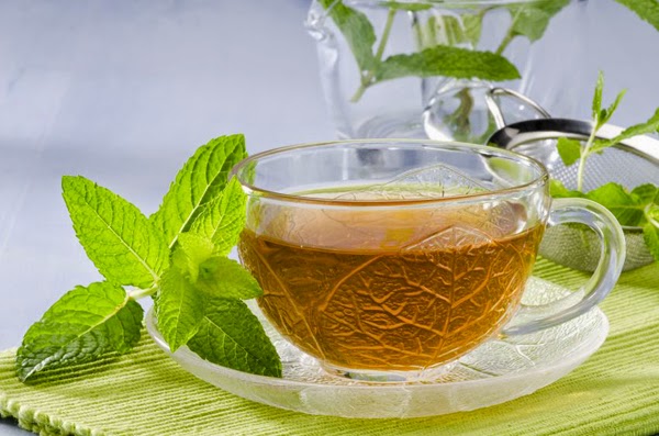 El Poleo Sus Propiedades y Usos