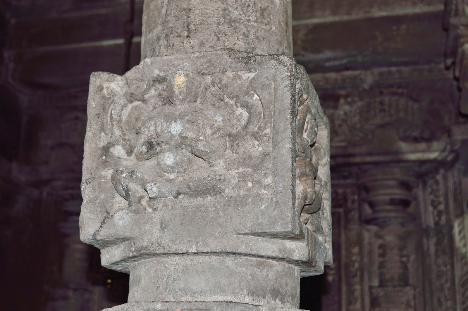 Yash Gaikwad - BHATKANTI: Patnadevi- An unexplored historical place ...