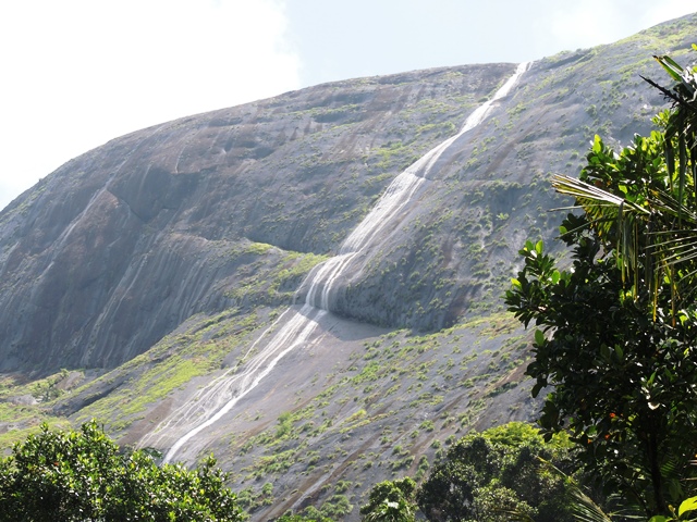 Palkulamedu Eco Tourism & Trekking | പാൽകുളംമേട് | Idukki