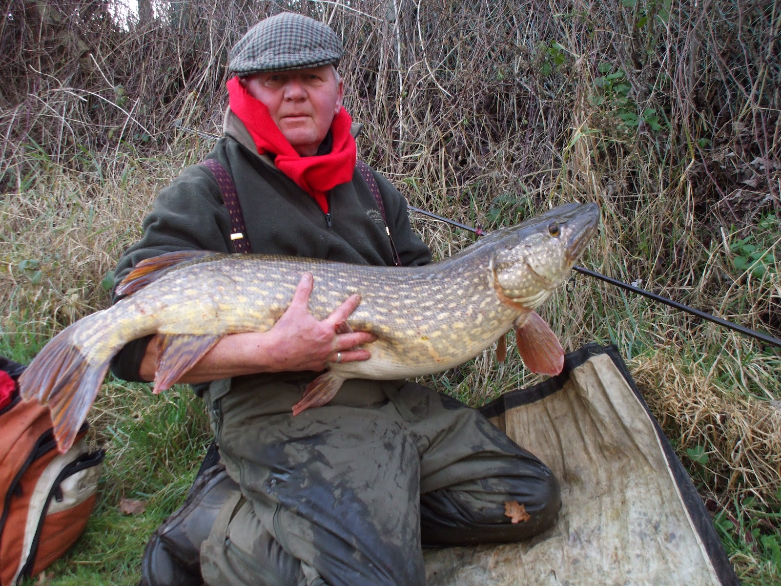 The Pike Pool: The Ade Kisbey Interview