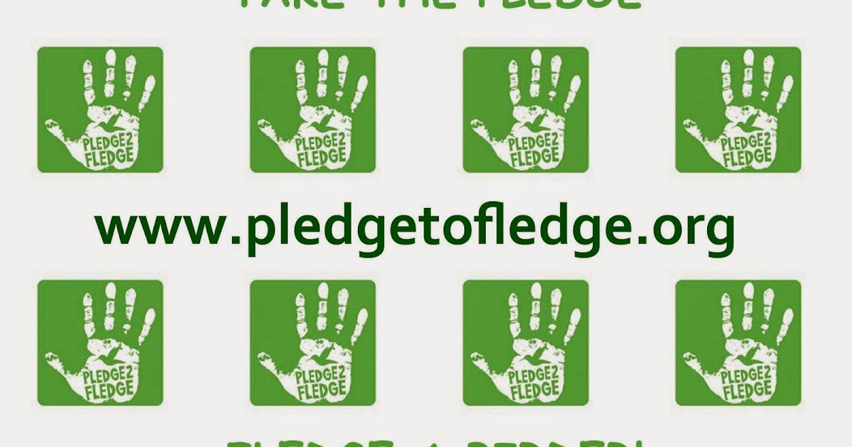 Birding Is Fun!: Pledge to Fledge - Every Day!