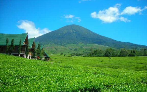 Wisata sumatera selatan gunung dempo pagaralam | Infoindoku - Informasi ...
