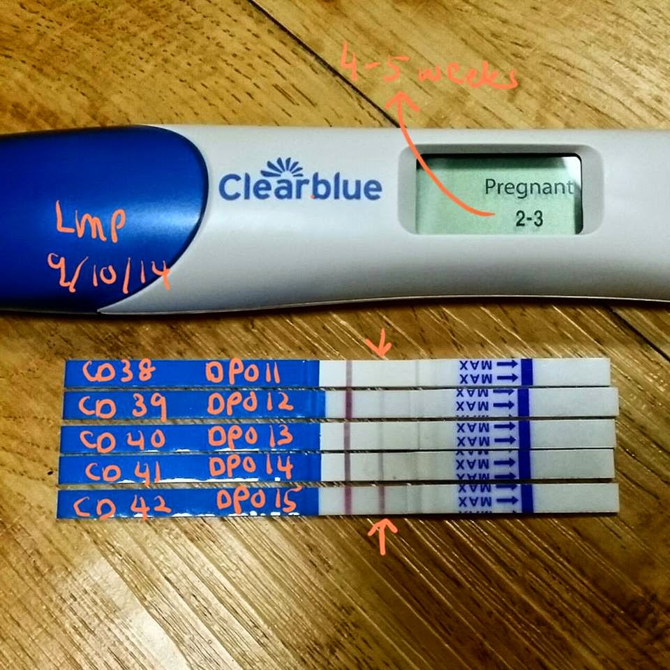 PREGNANCY TEST (UPT) MURAH GALLERY | Ovulation test kit (opk ...