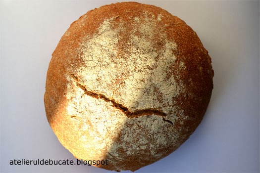 atelierul de bucate: paine integrala de grau cu maia