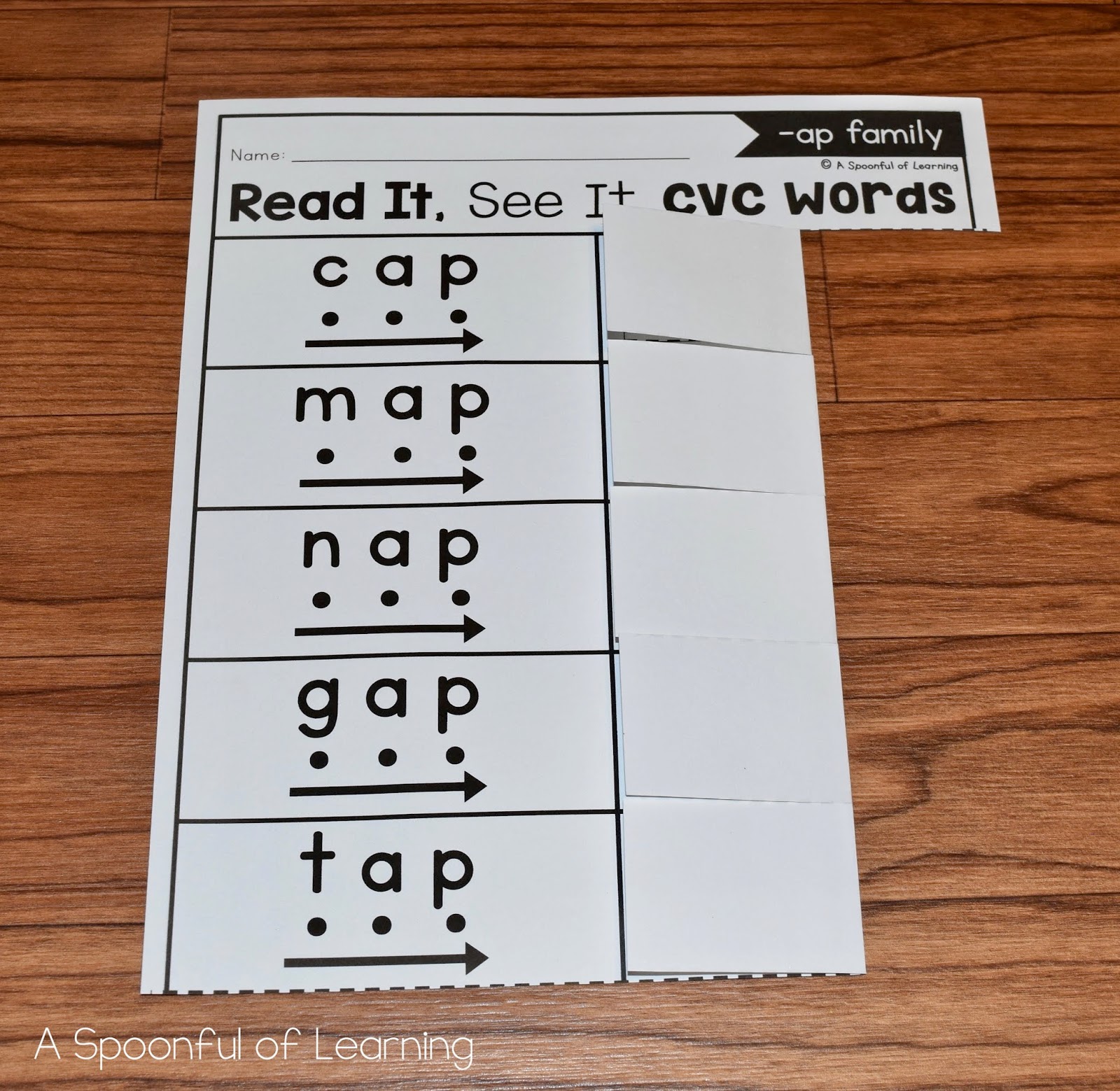 Reading Fluency Activities - Read it, Write It, See it