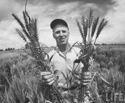 Norman Borlaug: The Genius Behind The Green Revolution (Page2) - 12 ...