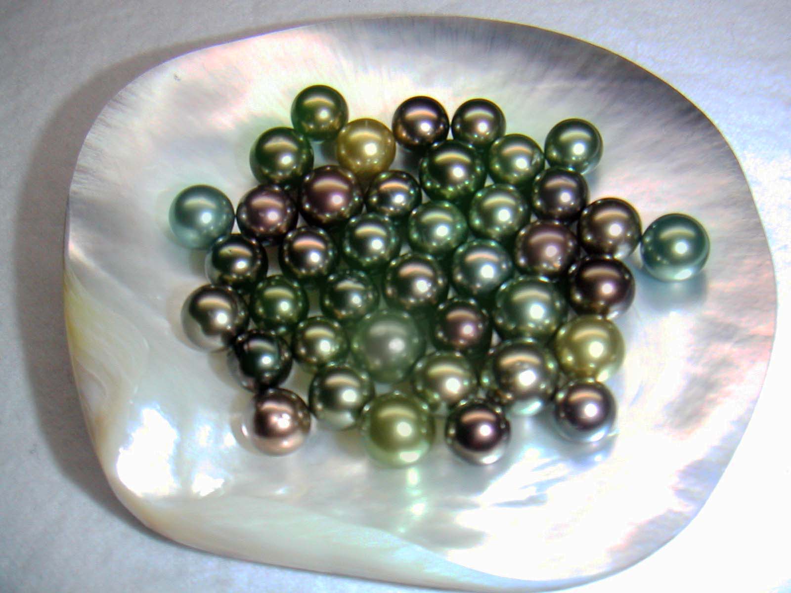 WEBSITE GEM AND JEWELRY TRADERS ASSOCIATION COMPANY