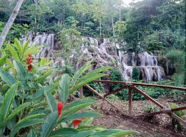 REGION NATURAL: Región Natural de Tabasco