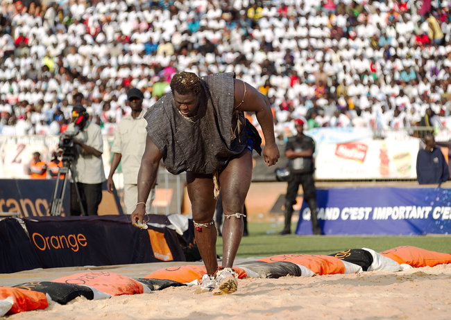 LAAMB, AFRICAN TRADITIONAL WRESTLING