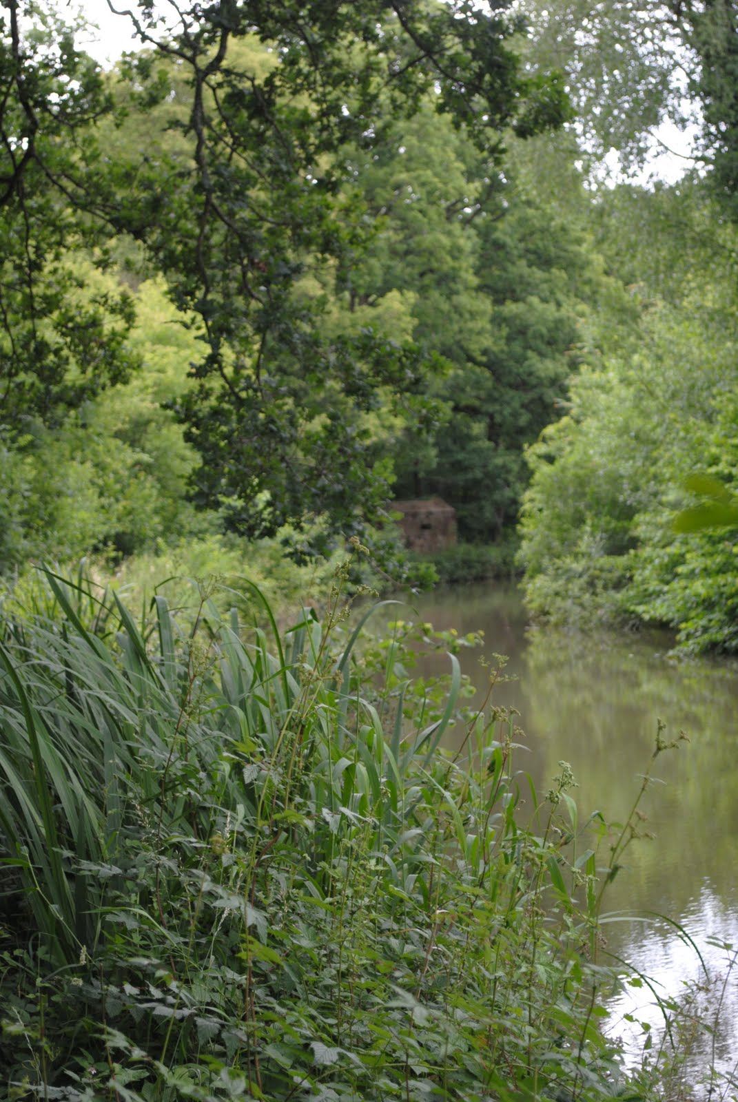 Walksalot: Barley mow bridge to Crookham Wharf - basingstoke canal walk ...