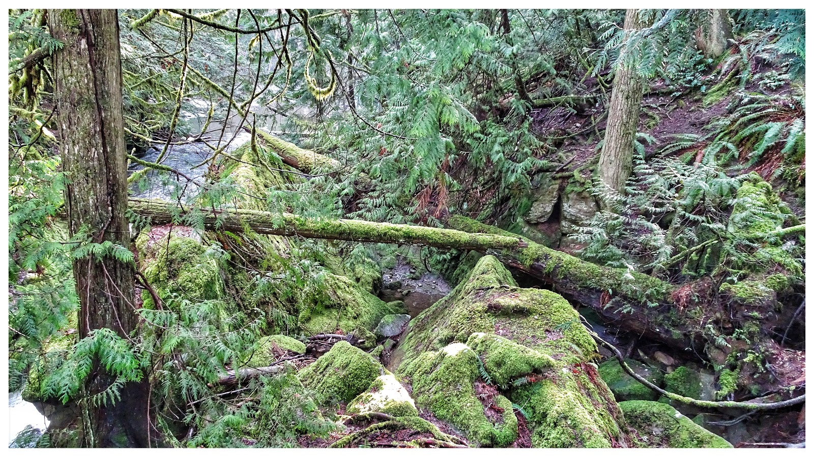 20+ Parks in Nanaimo: Colliery Dam