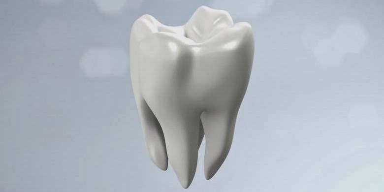 Have Brittle Tooth not easy Got Cancer? - the benefits of vegetable and ...