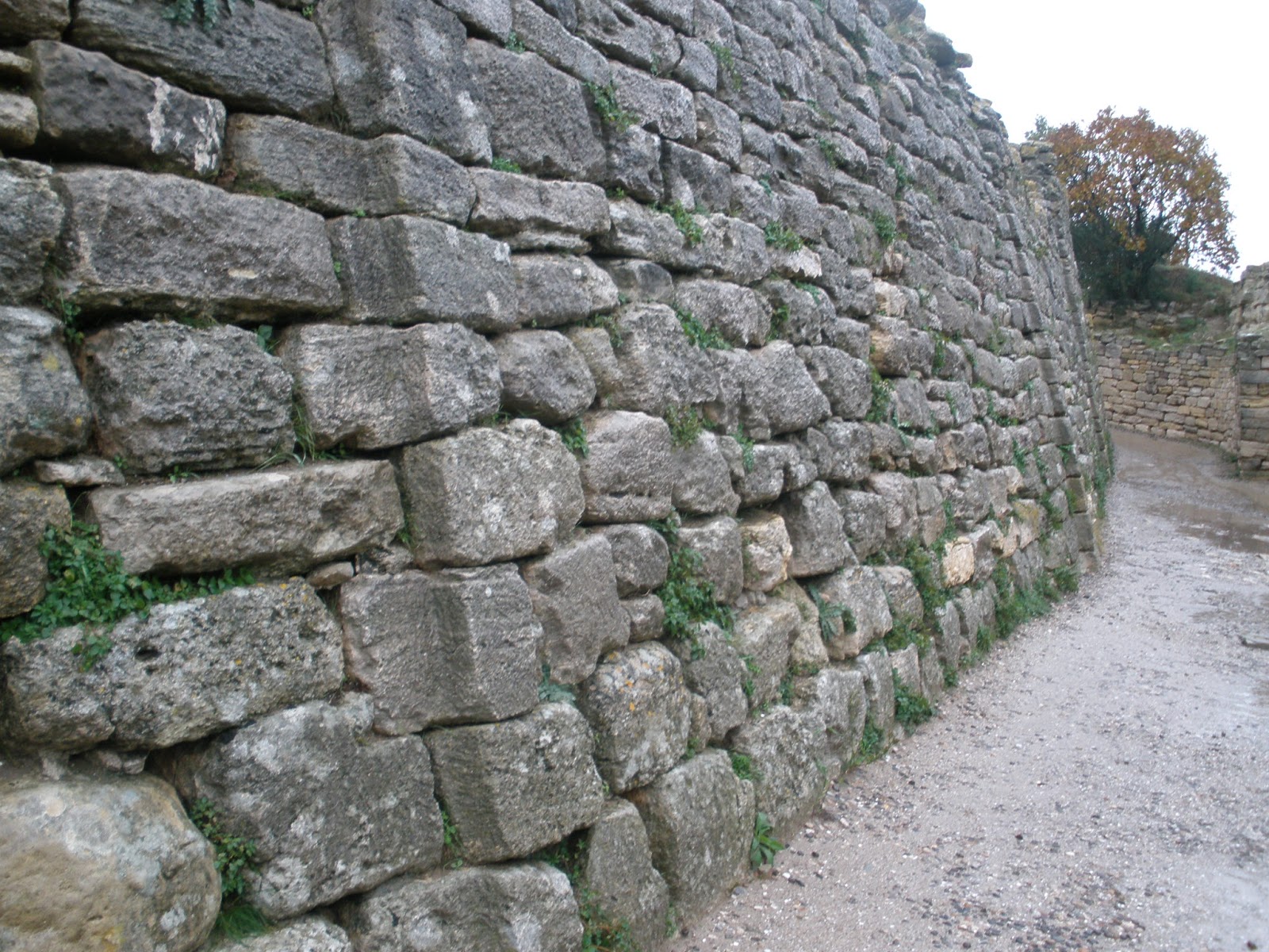 The Further Travels of No Man: Troy