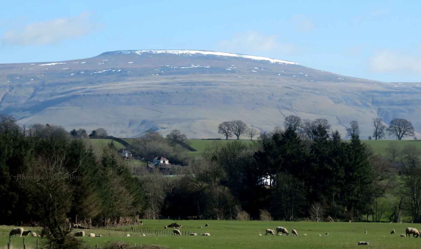Alex and Bob`s Blue Sky Scotland: Cross Fell, 2,930 feet. Cumbria ...