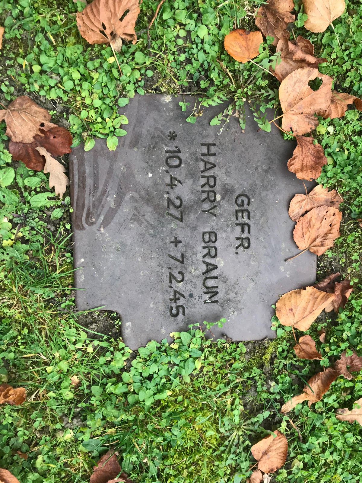 Florida Coalcracker Chronicles: Today We Went to the Bitburg Cemetery ...