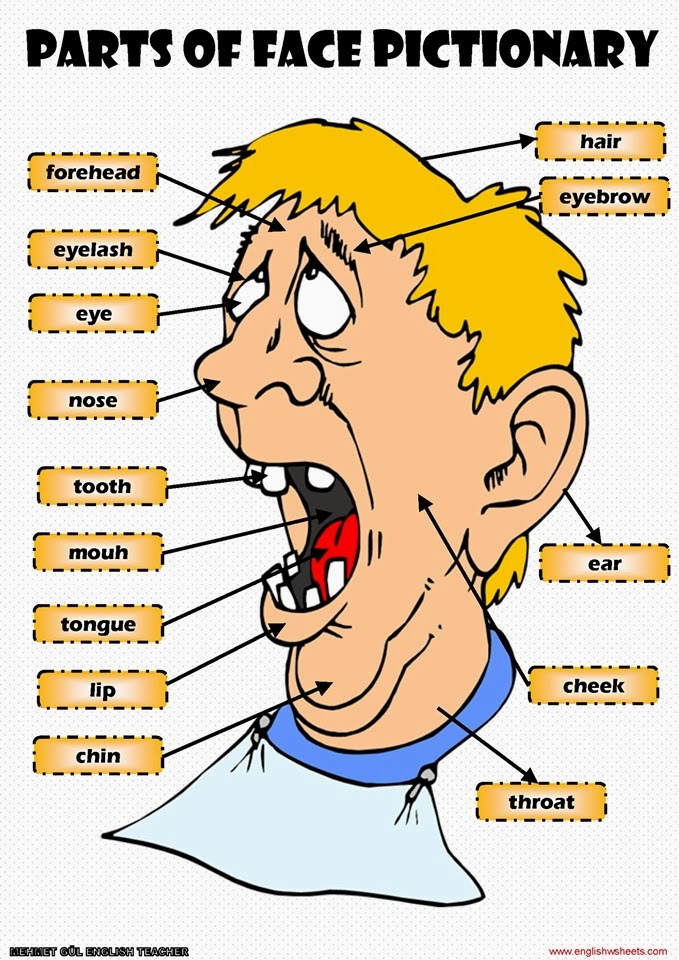 Material, actividades y más, para alumnos de Infantil y Primaria: Parts ...