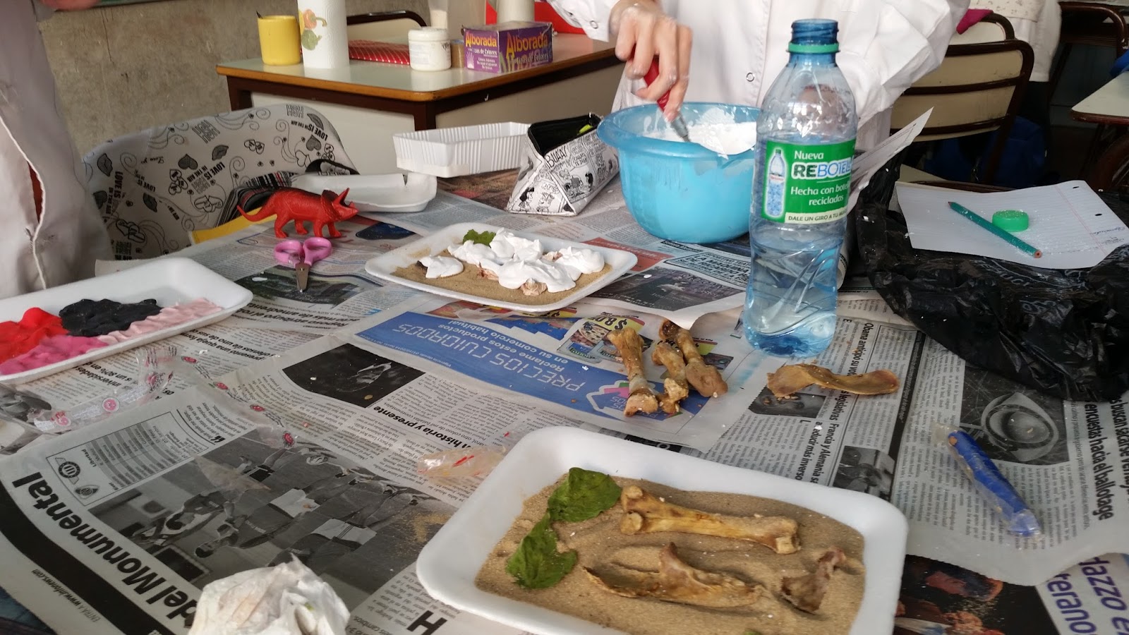 Expedición Aula Digital: Trabajo de Fósiles. parte II