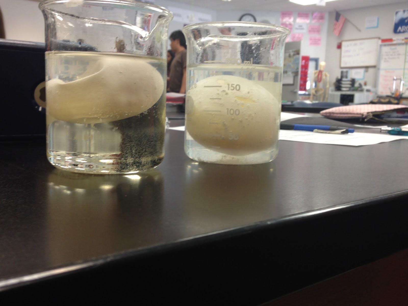 Veda Biology Blog: Egg Diffusion Lab