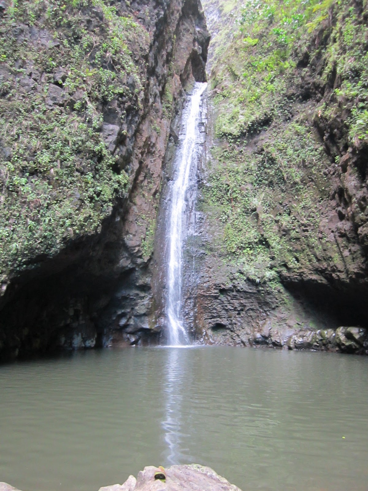 livin pono: sacred falls