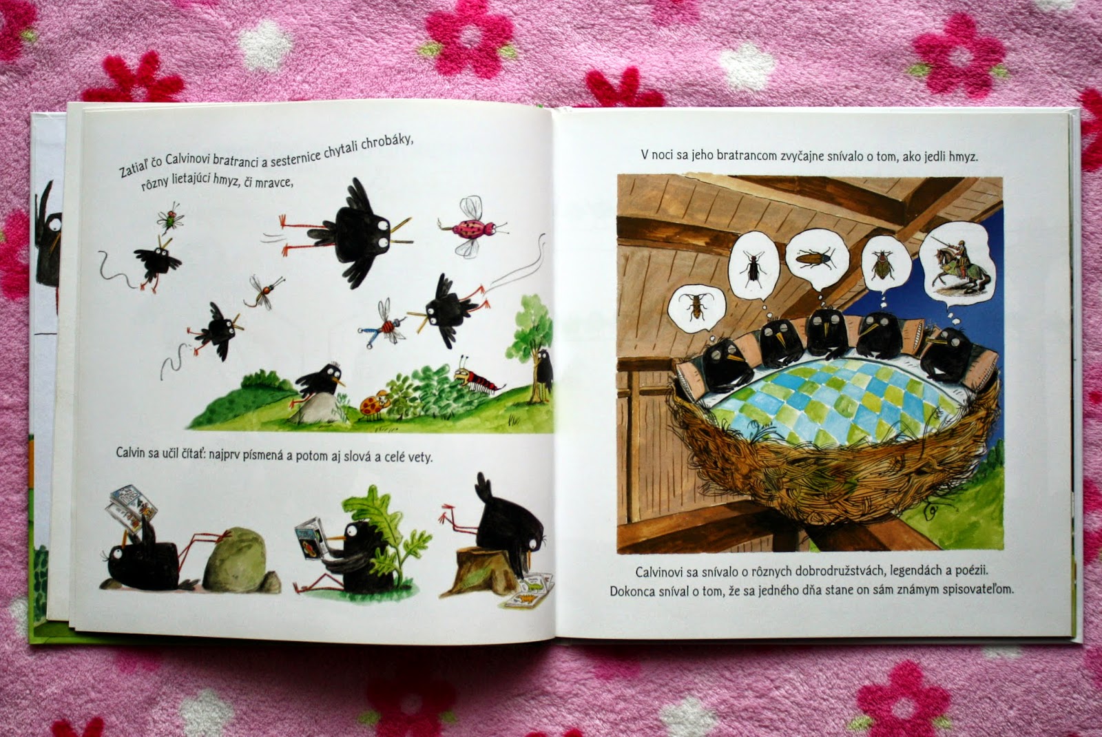 Jennifer Berne: Calvin nevie lietať